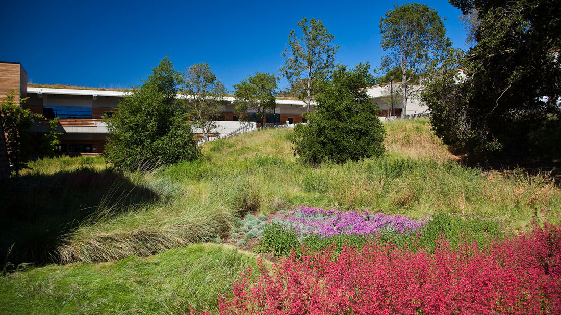 Foothill Community College - SWA Group