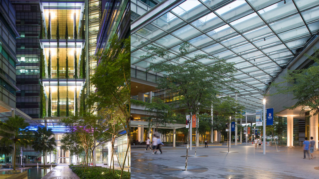 CREATE Campus, National University of Singapore - SWA Group