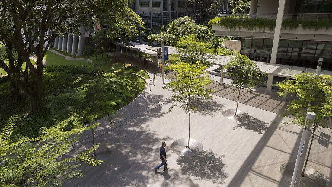 CREATE Campus, National University of Singapore - SWA Group