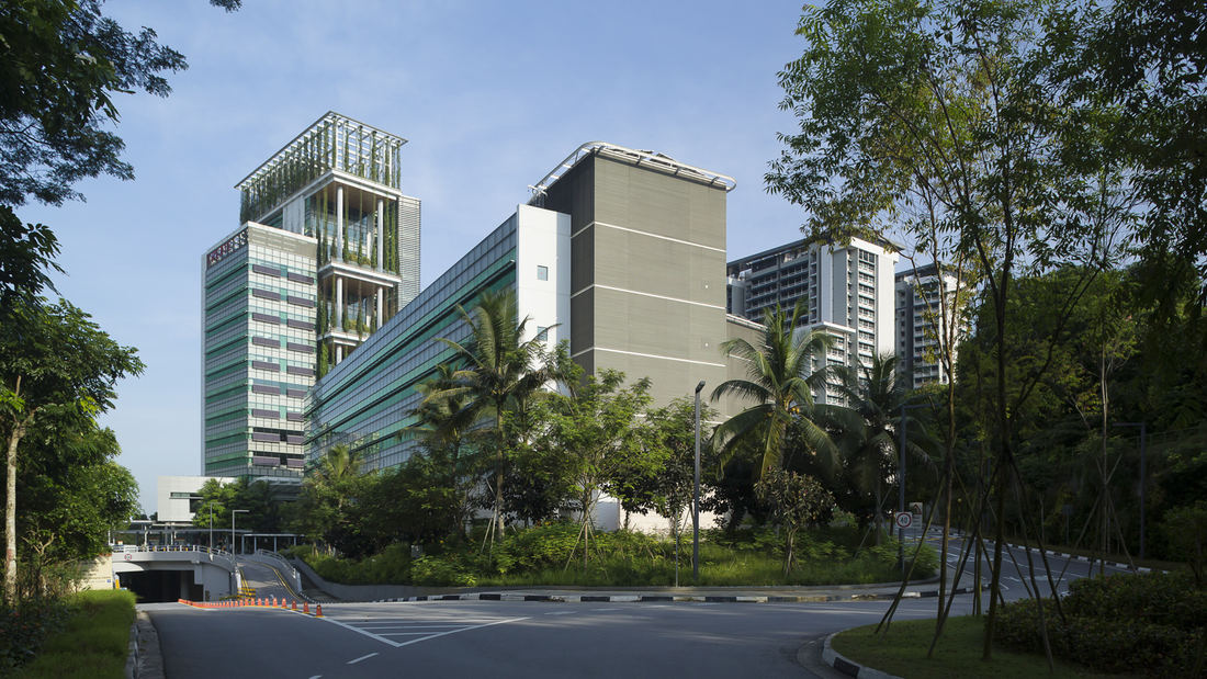 CREATE Campus, National University of Singapore - SWA Group