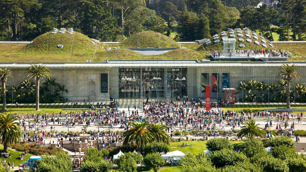 20 Years On – The Green Roof at the California Academy of Sciences