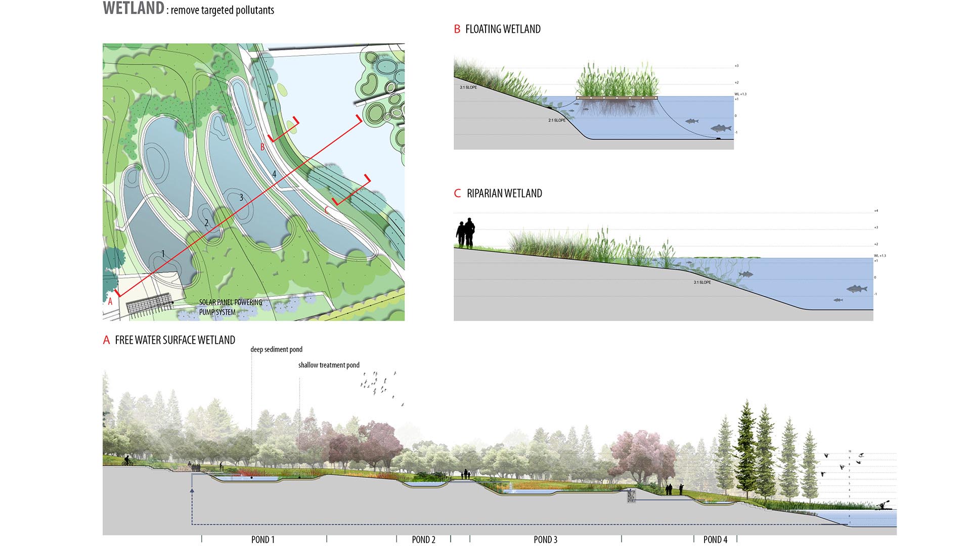 Ningbo East New Town Eco-Corridor - SWA Group