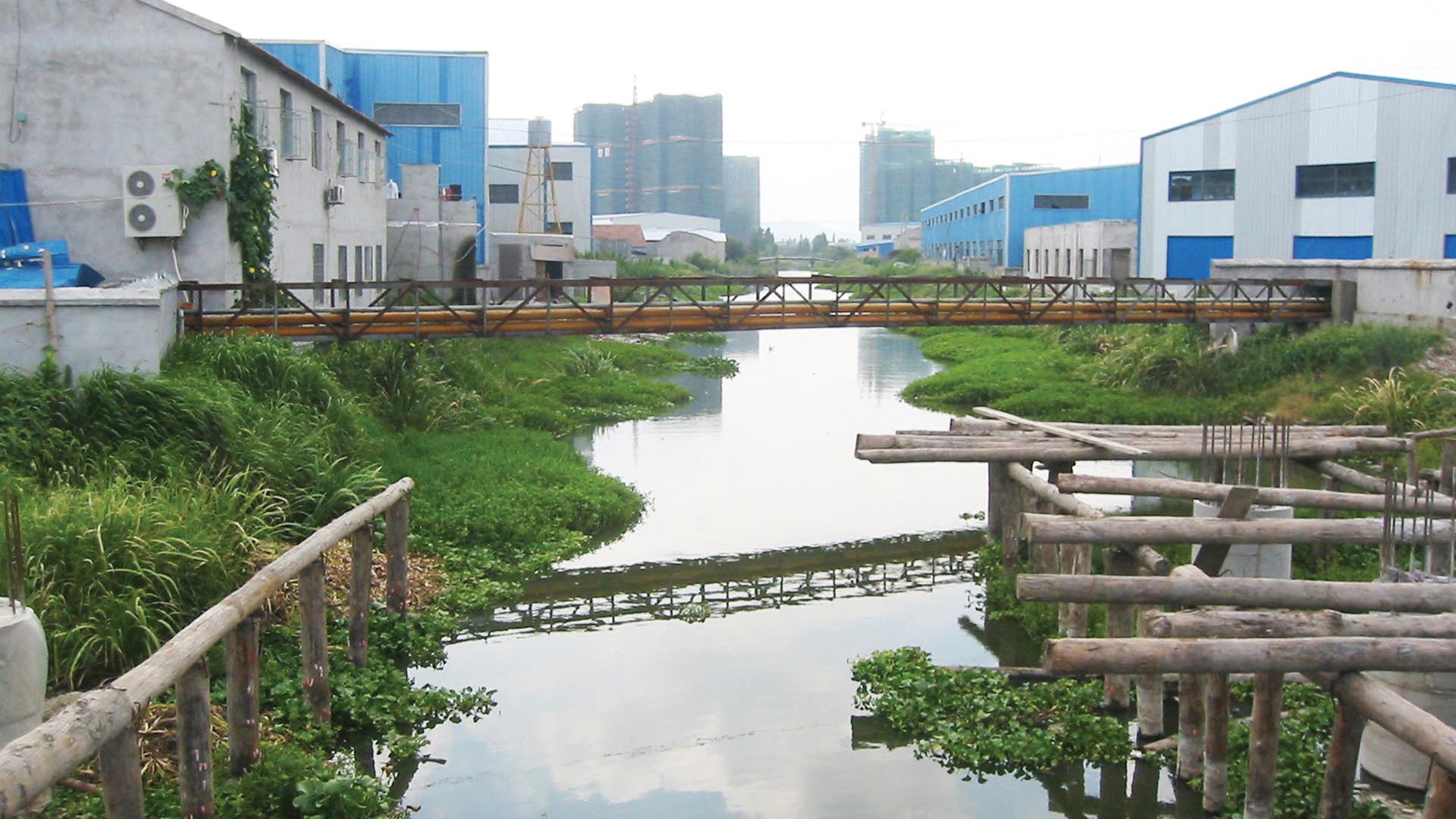 Ningbo East New Town Eco-Corridor - SWA Group