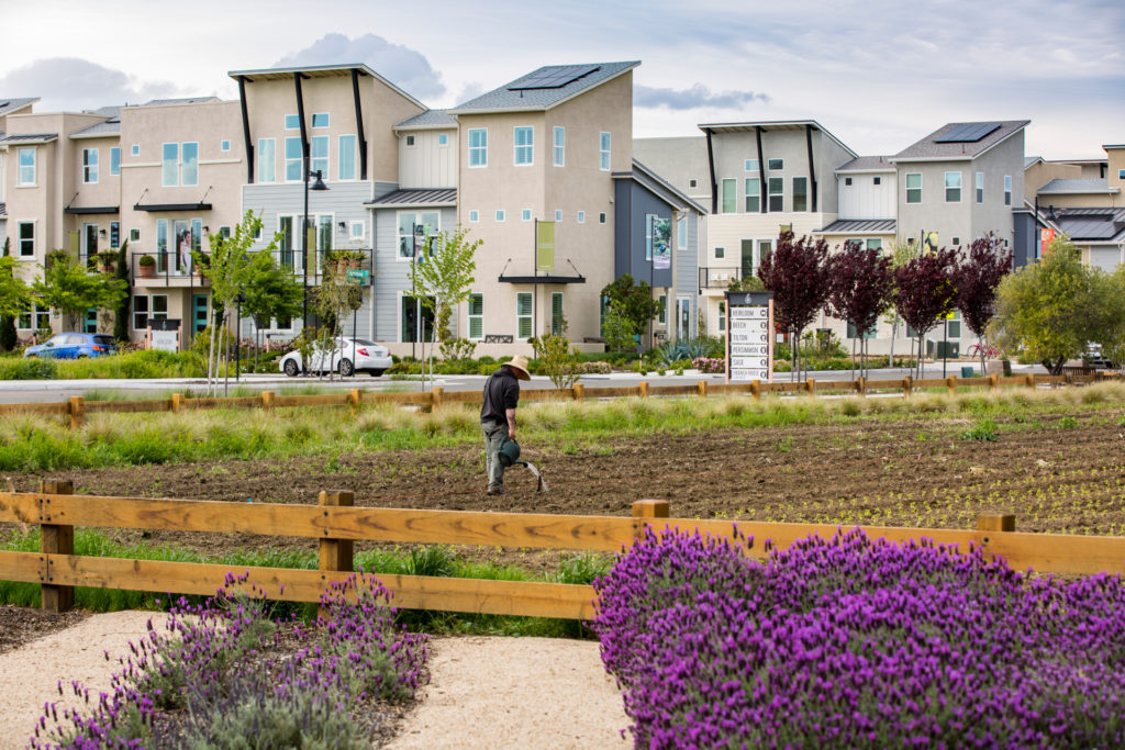 The Cannery - SWA Group