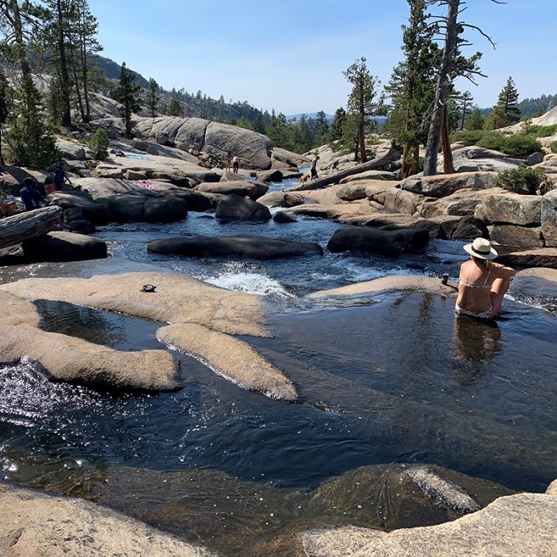 Earthday 2021 - SWA/Balsley