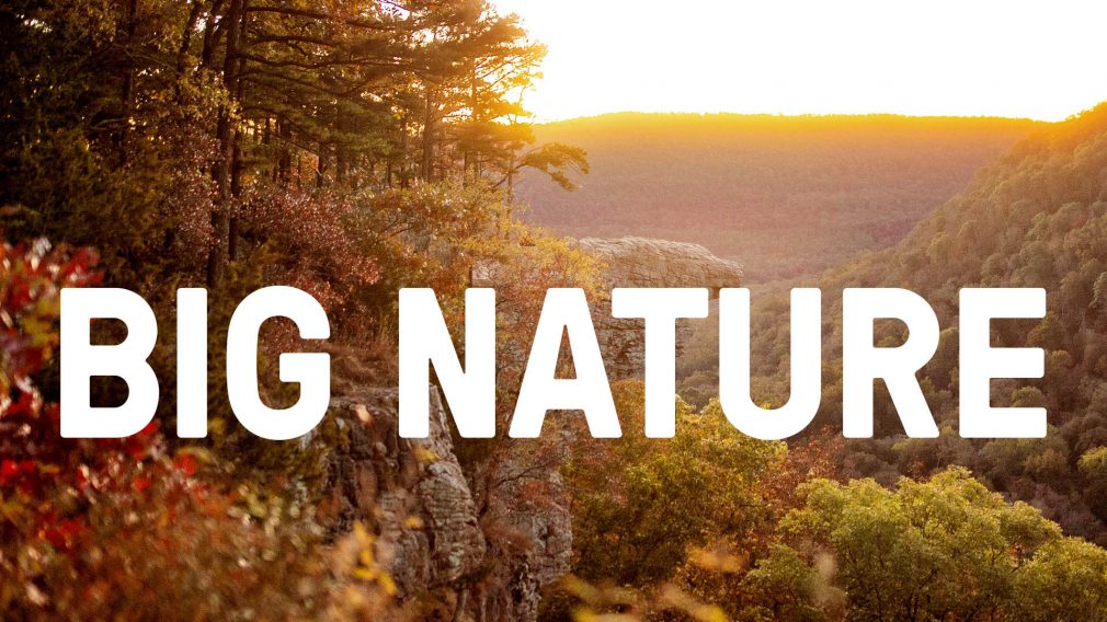 Grounding Walmart’s New Home Office Campus in Big Nature
