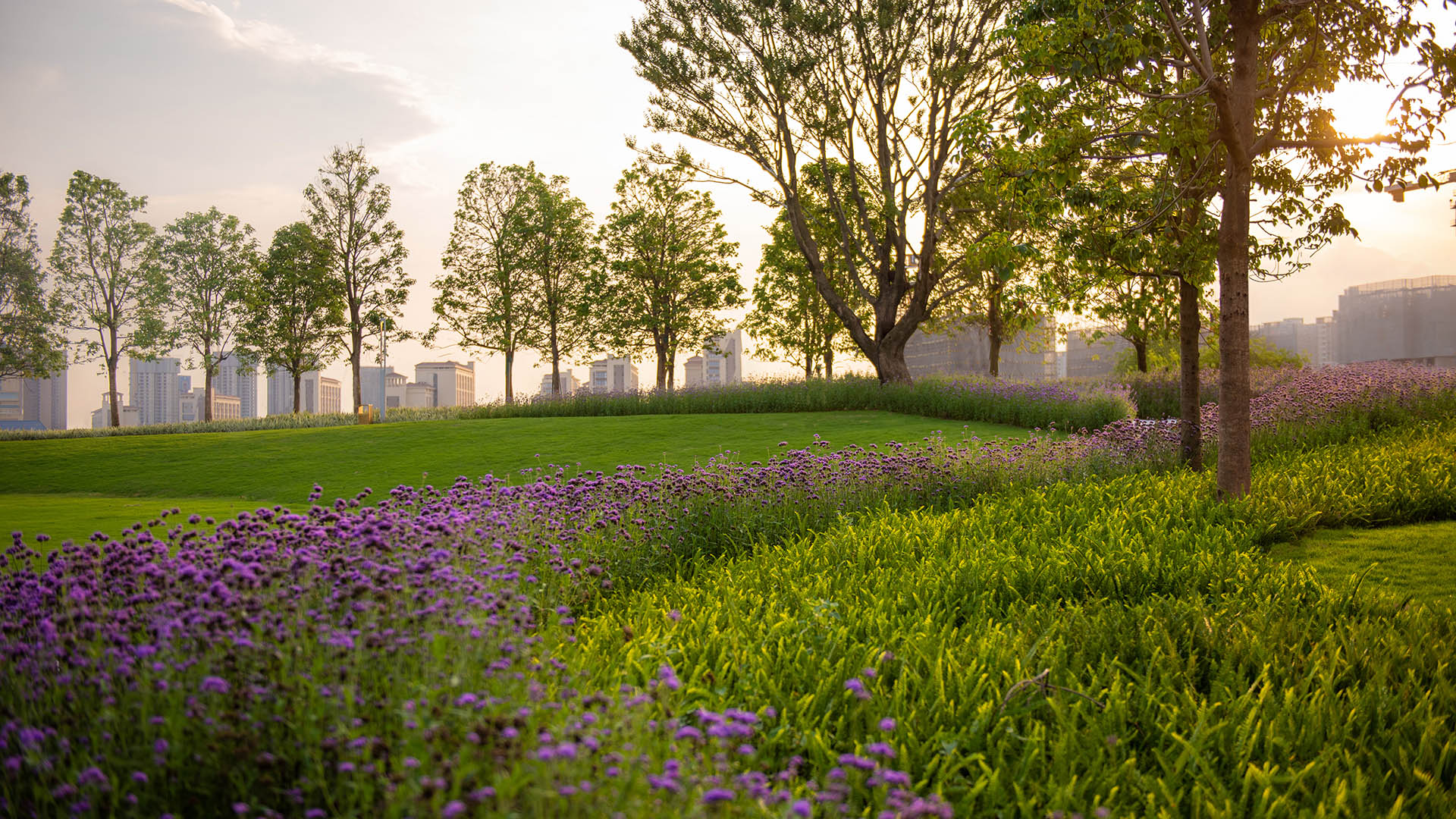 Eucalyptus Society Garden - SWA Group