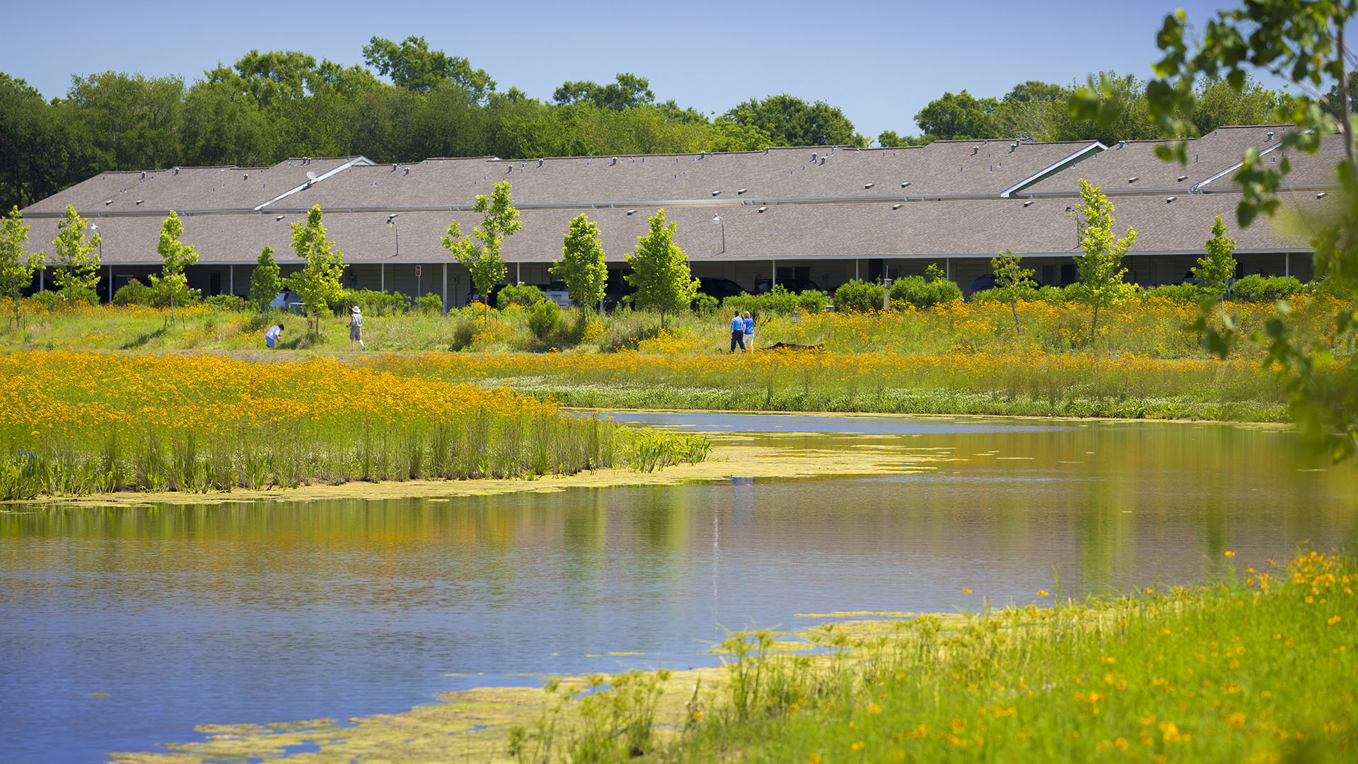 Climate Infrastructure - SWA Group