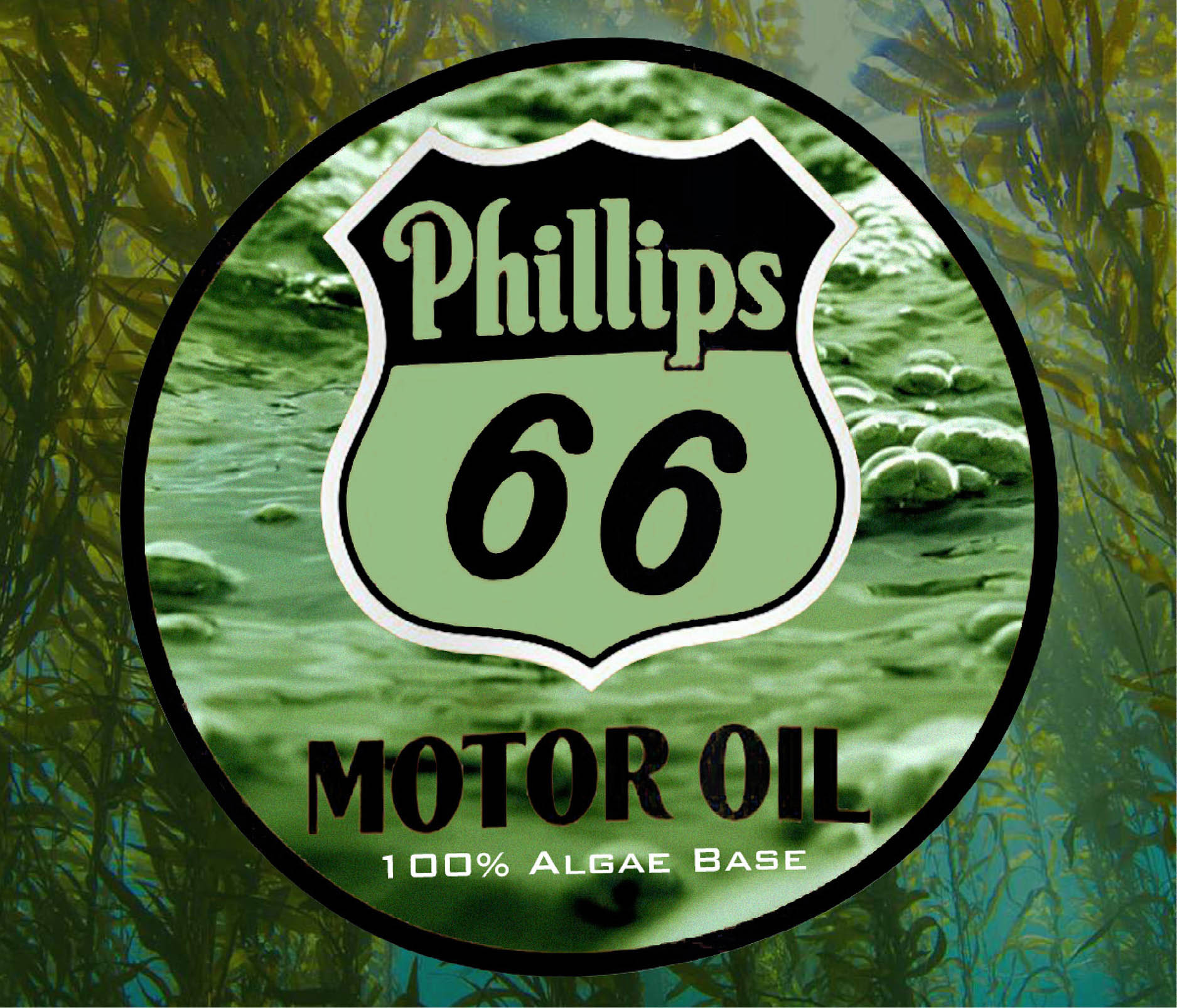 SWA’s Annual Summer Student Program 2023