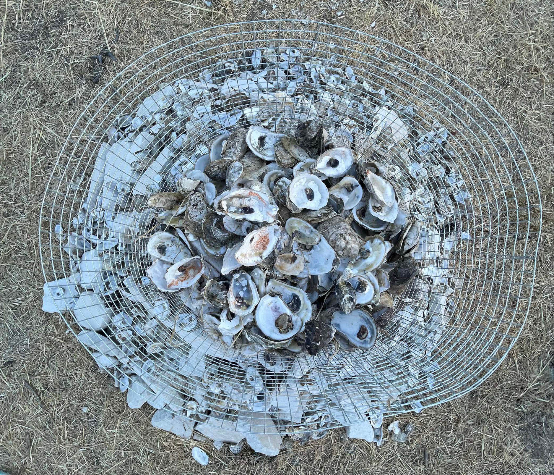 SWA’s Annual Summer Student Program 2023