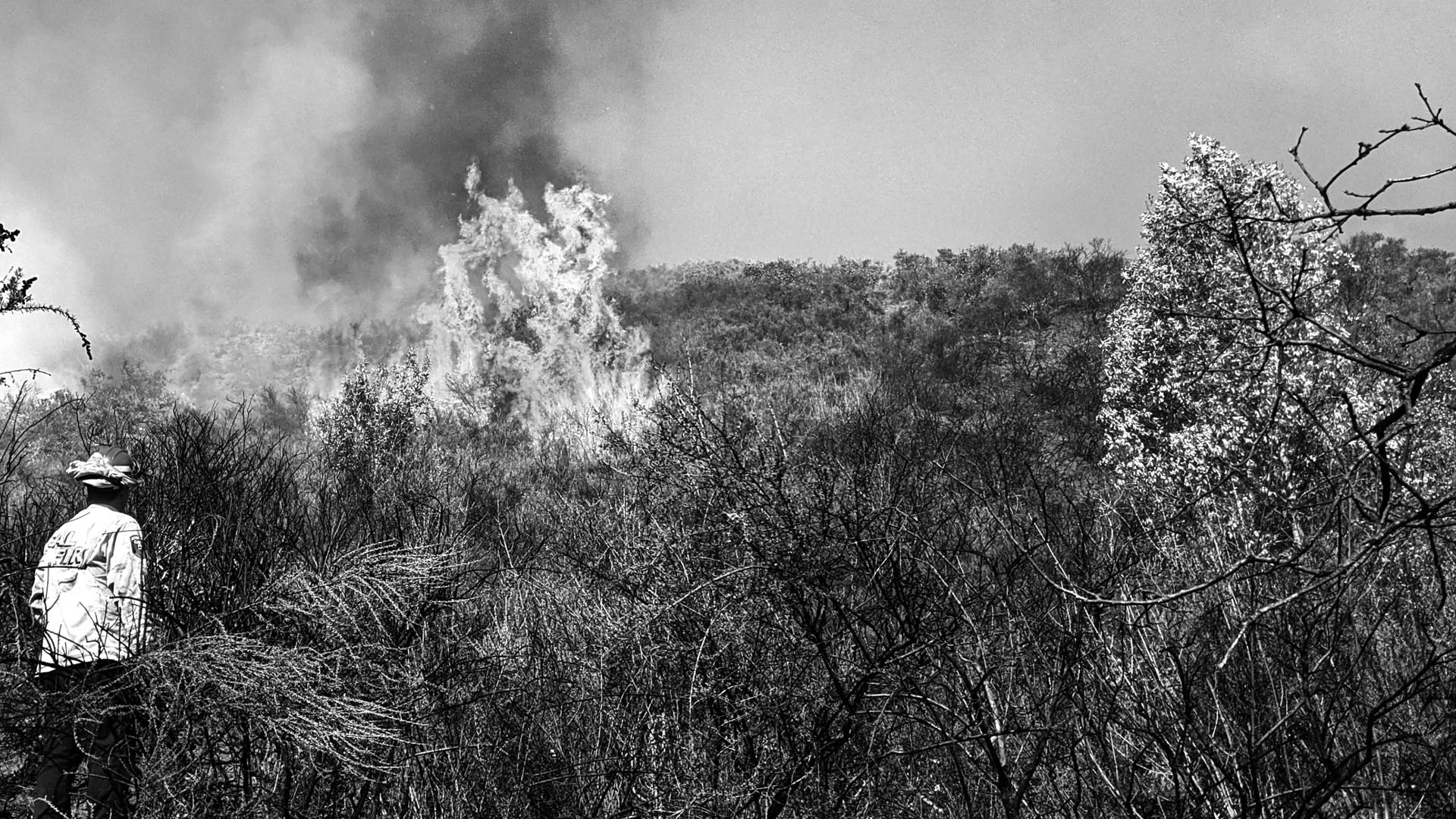 Playbook for the Pyrocene